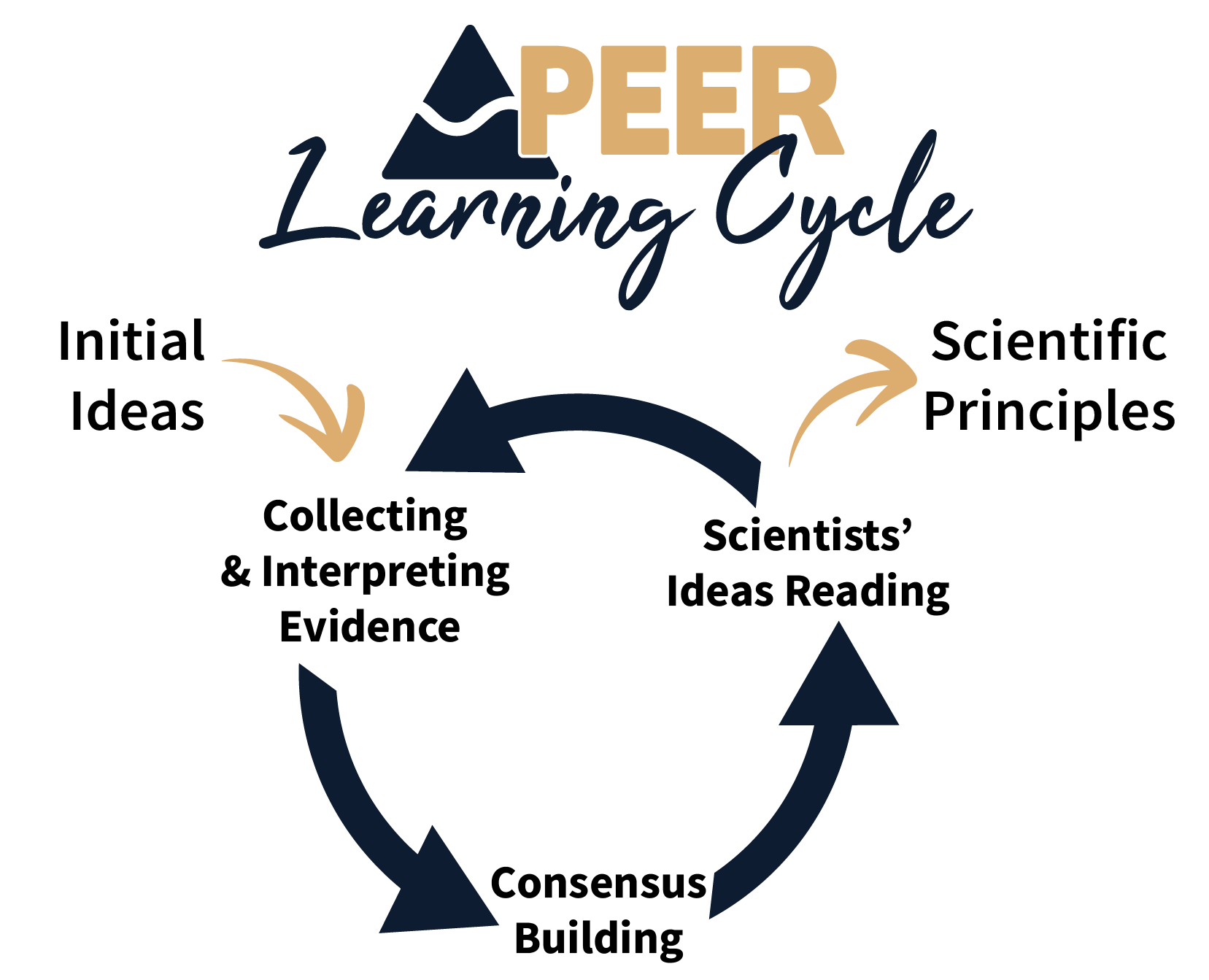 Transforming Classrooms Peer Physics