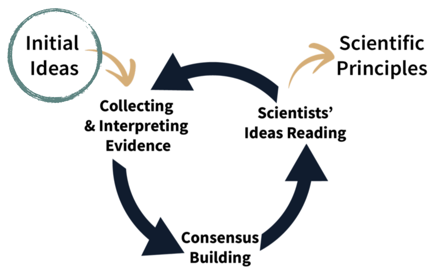 Transforming Classrooms - PEER Physics